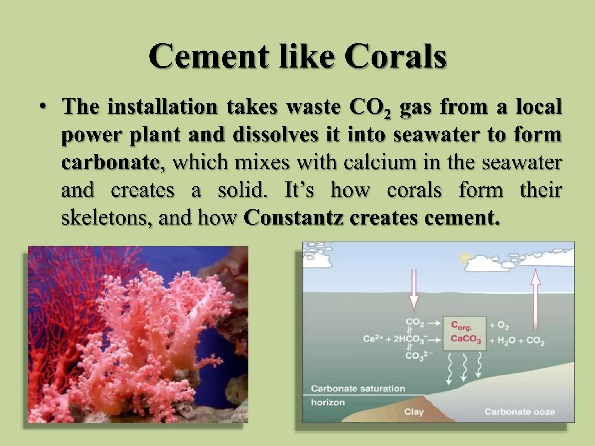 Biomimicry –Applications in Civil Engineering | PPTX