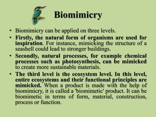 Biomimicry –Applications in Civil Engineering | PPTX