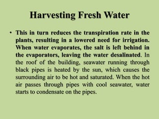 Biomimicry –Applications in Civil Engineering | PPTX