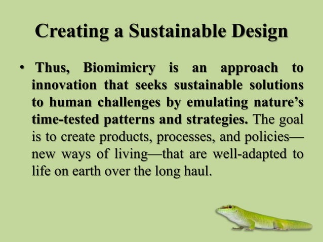 Biomimicry –Applications in Civil Engineering | PPTX | Weather | Science