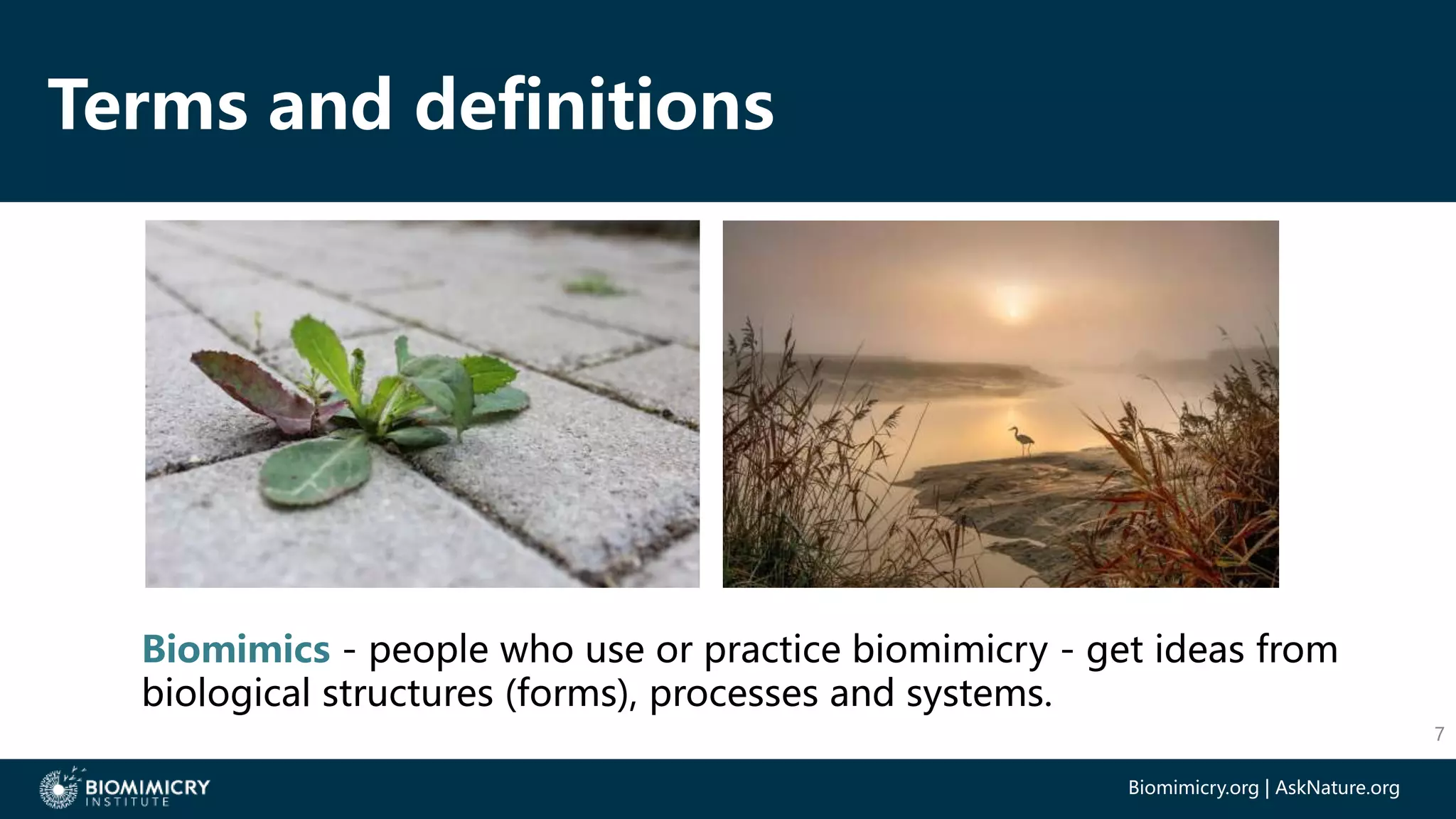Biomimicry_Bitesized_Lesson-1_Slides.pptx