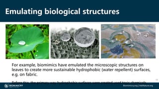 Biomimicry_Bitesized_Lesson-1_Slides.pptx