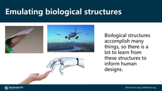 Biomimicry_Bitesized_Lesson-1_Slides.pptx