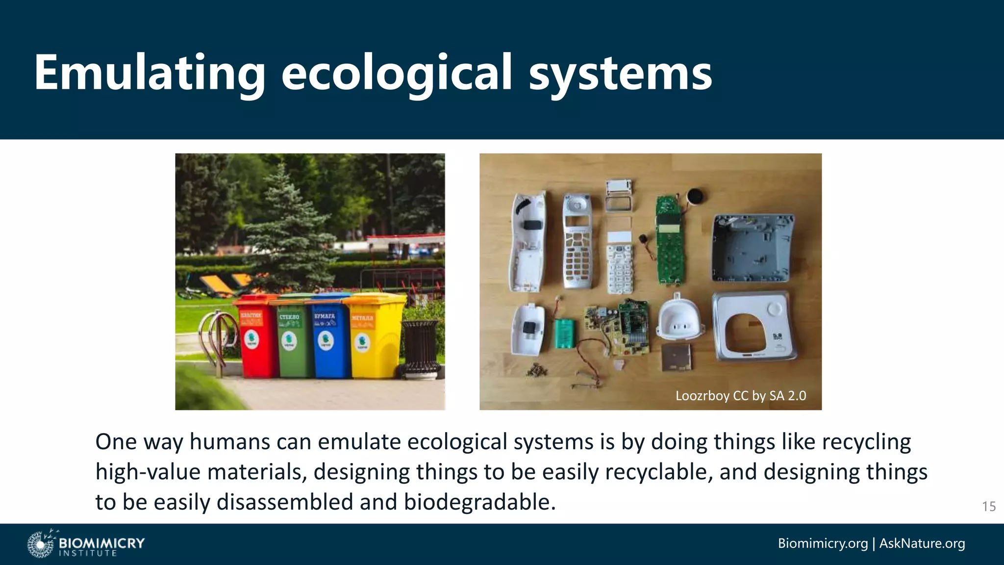 biomimikri-1_Slides.pptx