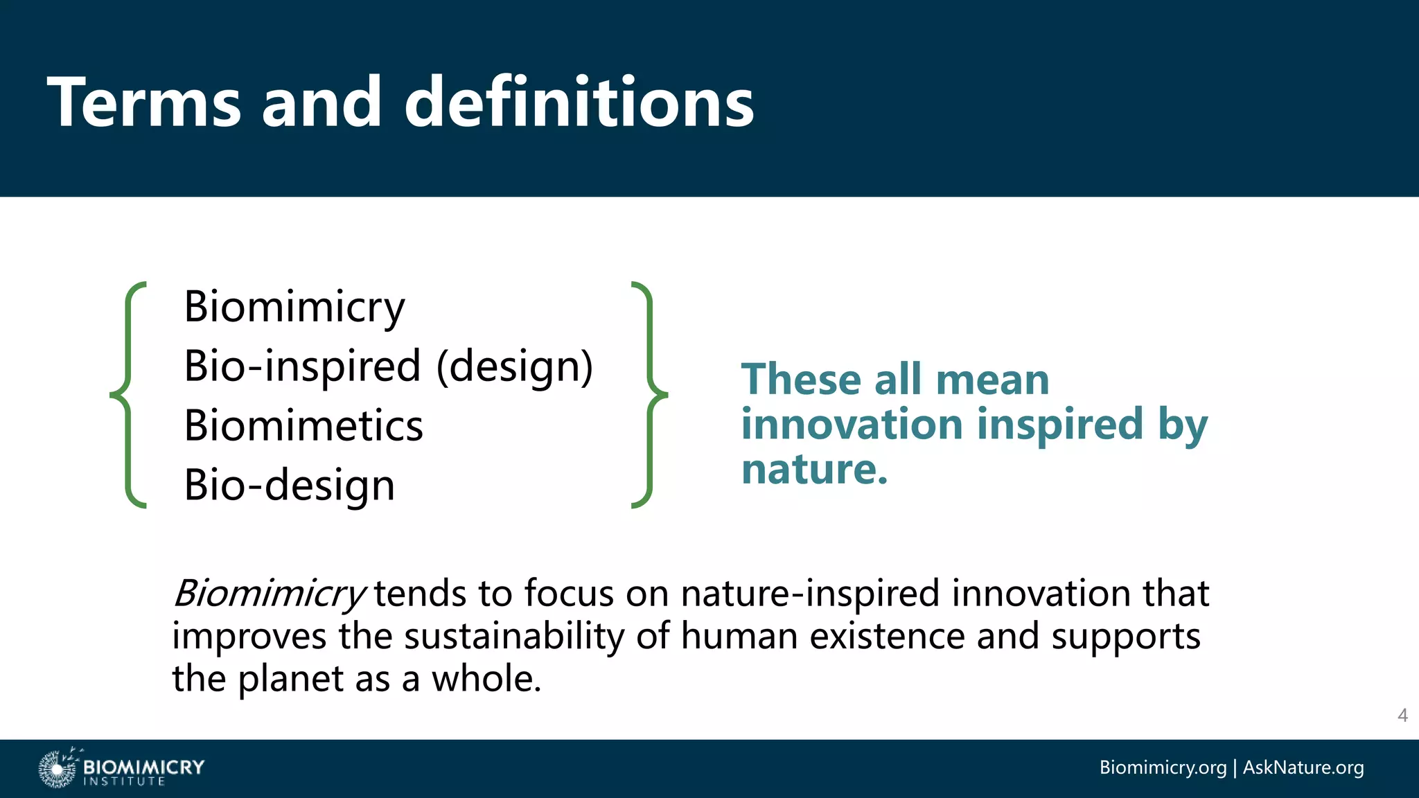 biomimikri-1_Slides.pptx