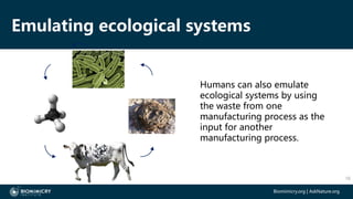 biomimikri-1_Slides.pptx
