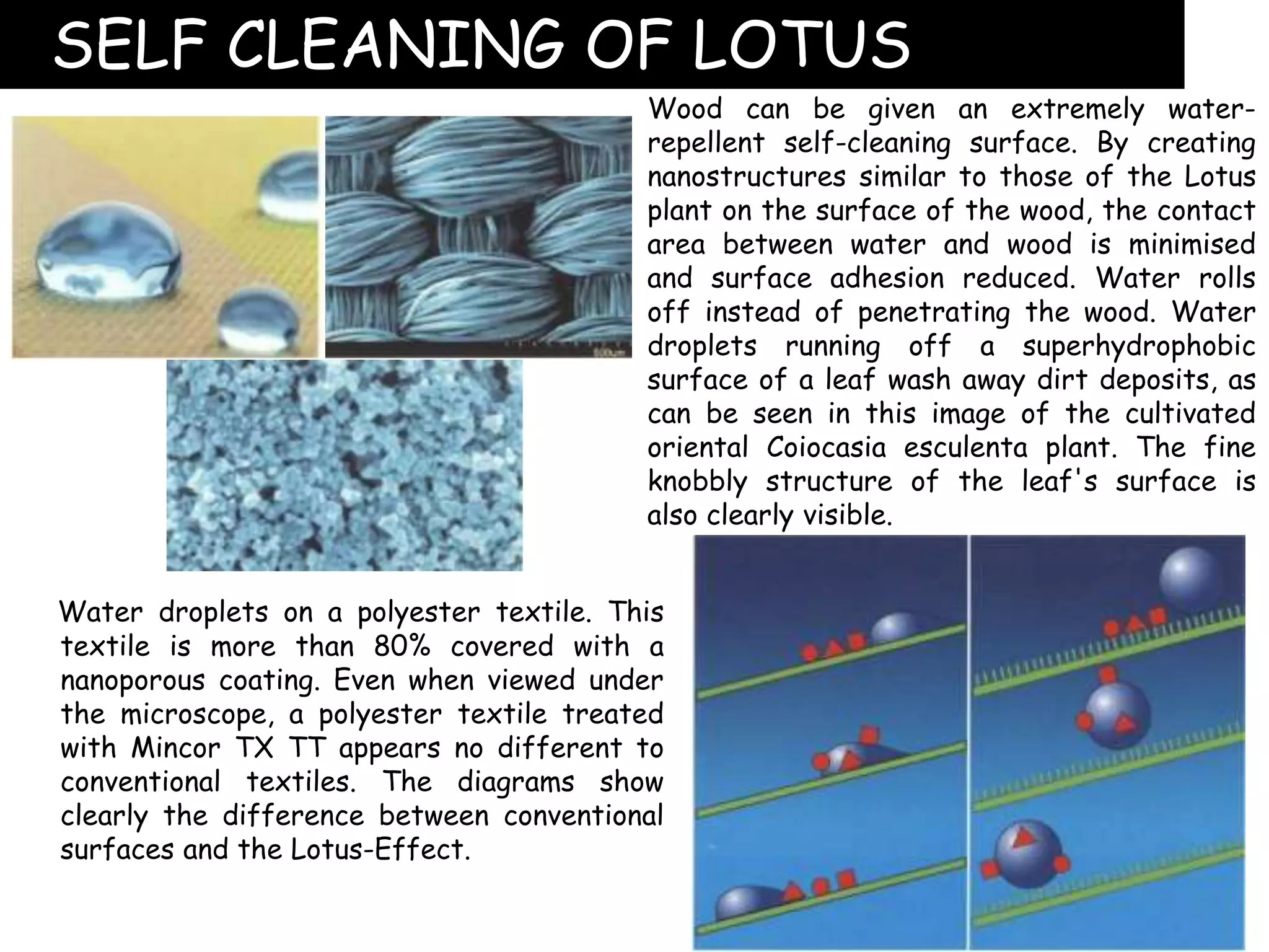 Biomimicry case study | PPTX