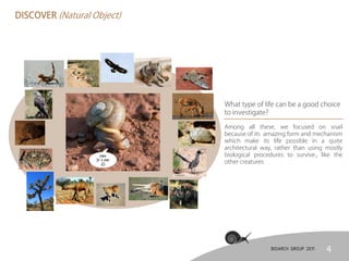 Biomimicry challenge2011 bioarch | PDF