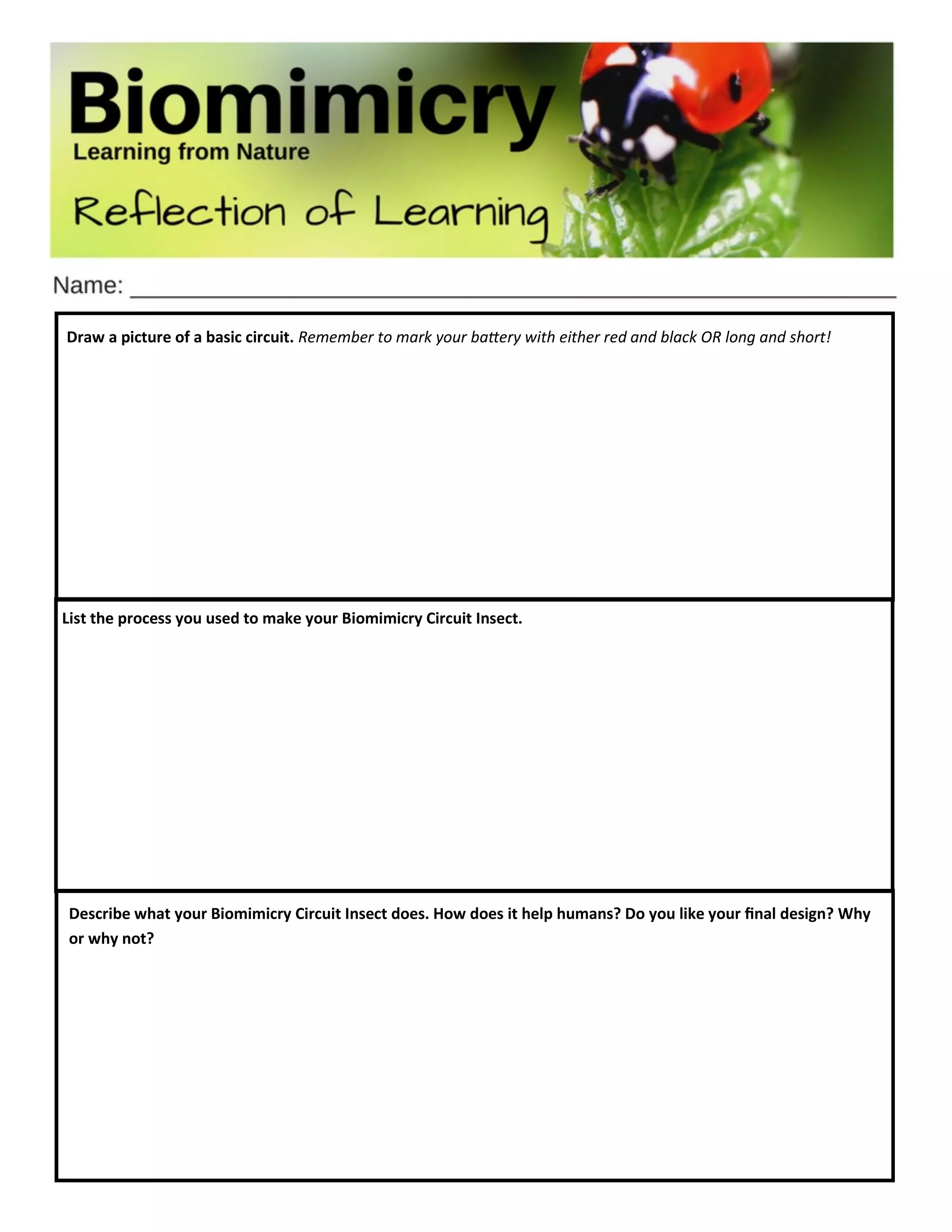 Biomimicry circuit insect reflection on learning | PDF