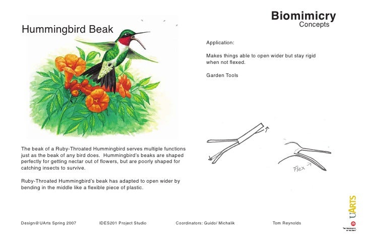 Biomimicry Concepts