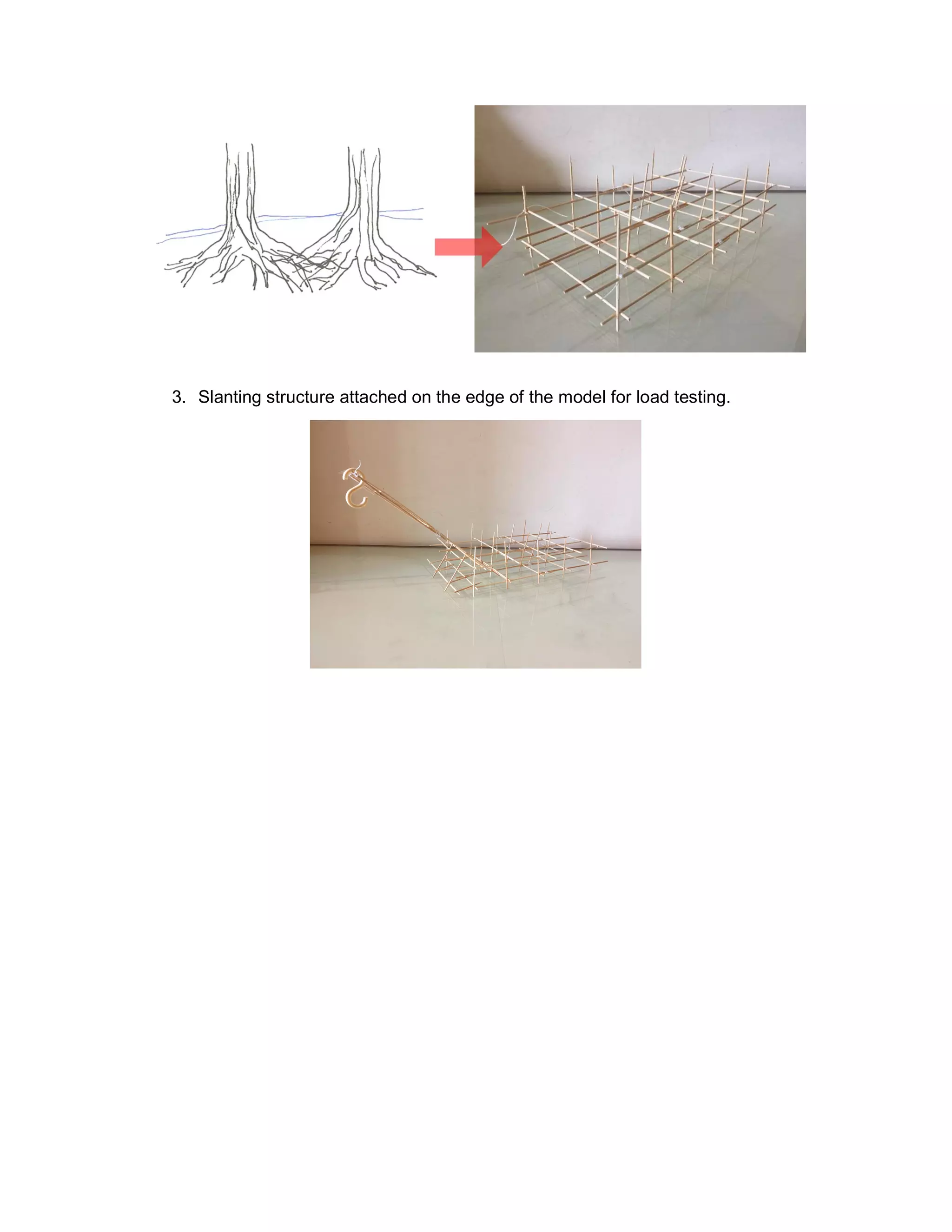 Biomimicry, giant redwood prototype | PDF