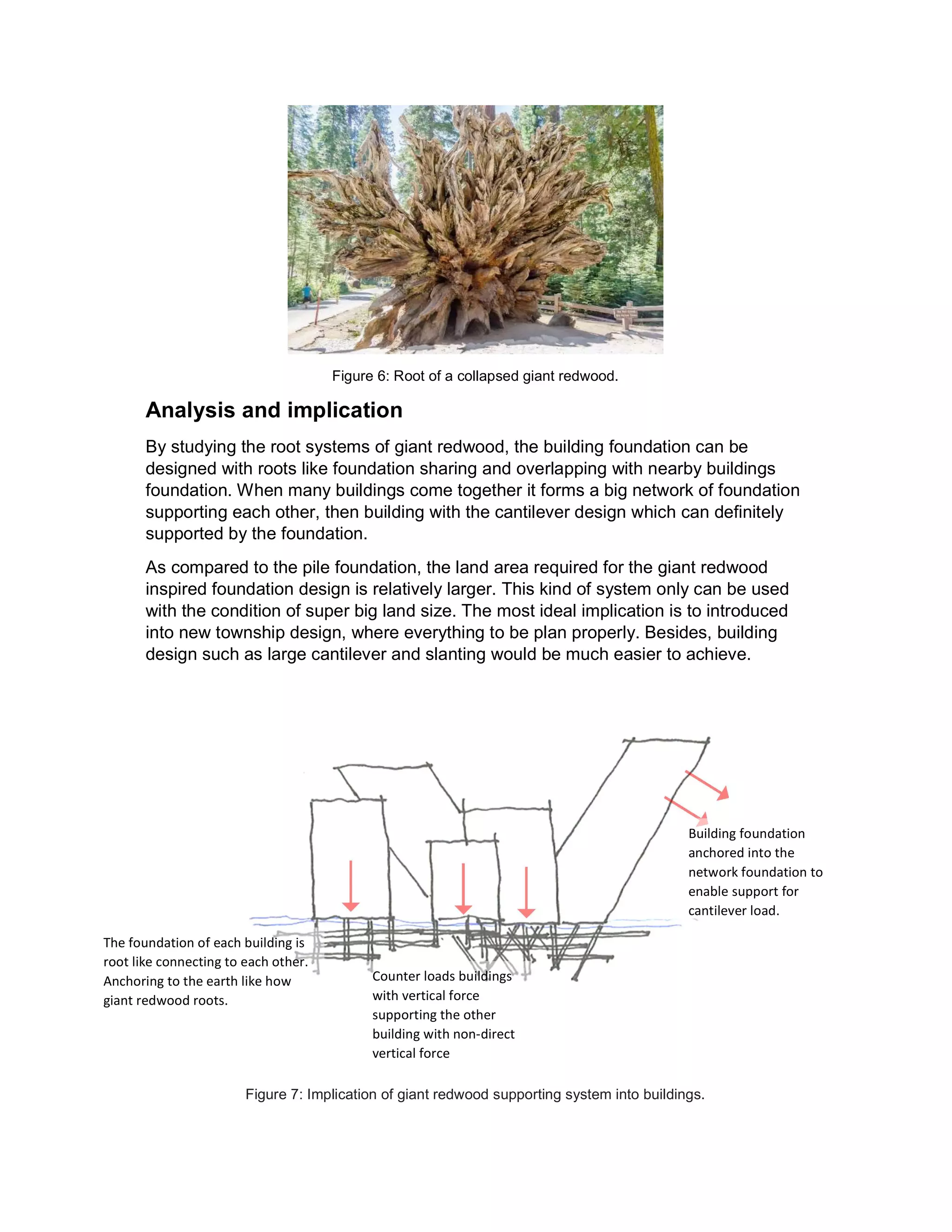 Biomimicry, giant redwood prototype | PDF