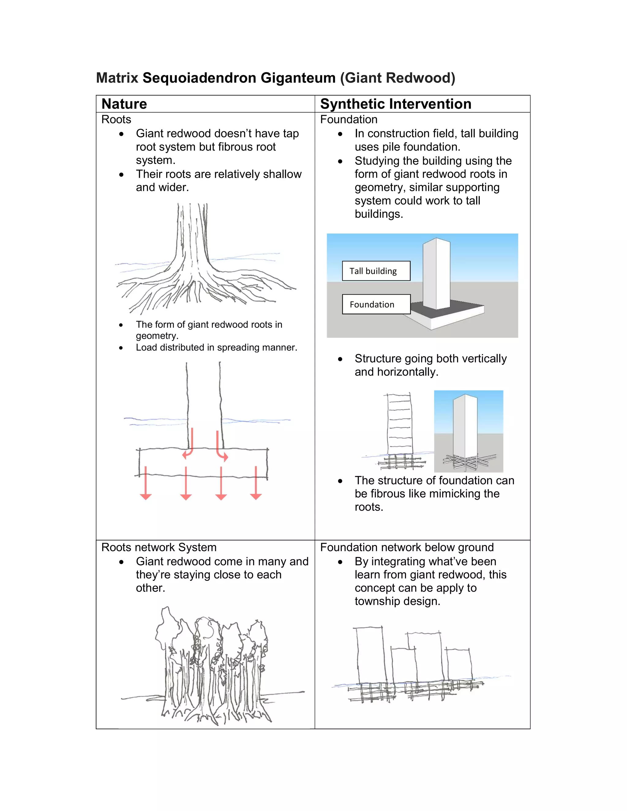 Biomimicry, giant redwood prototype | PDF