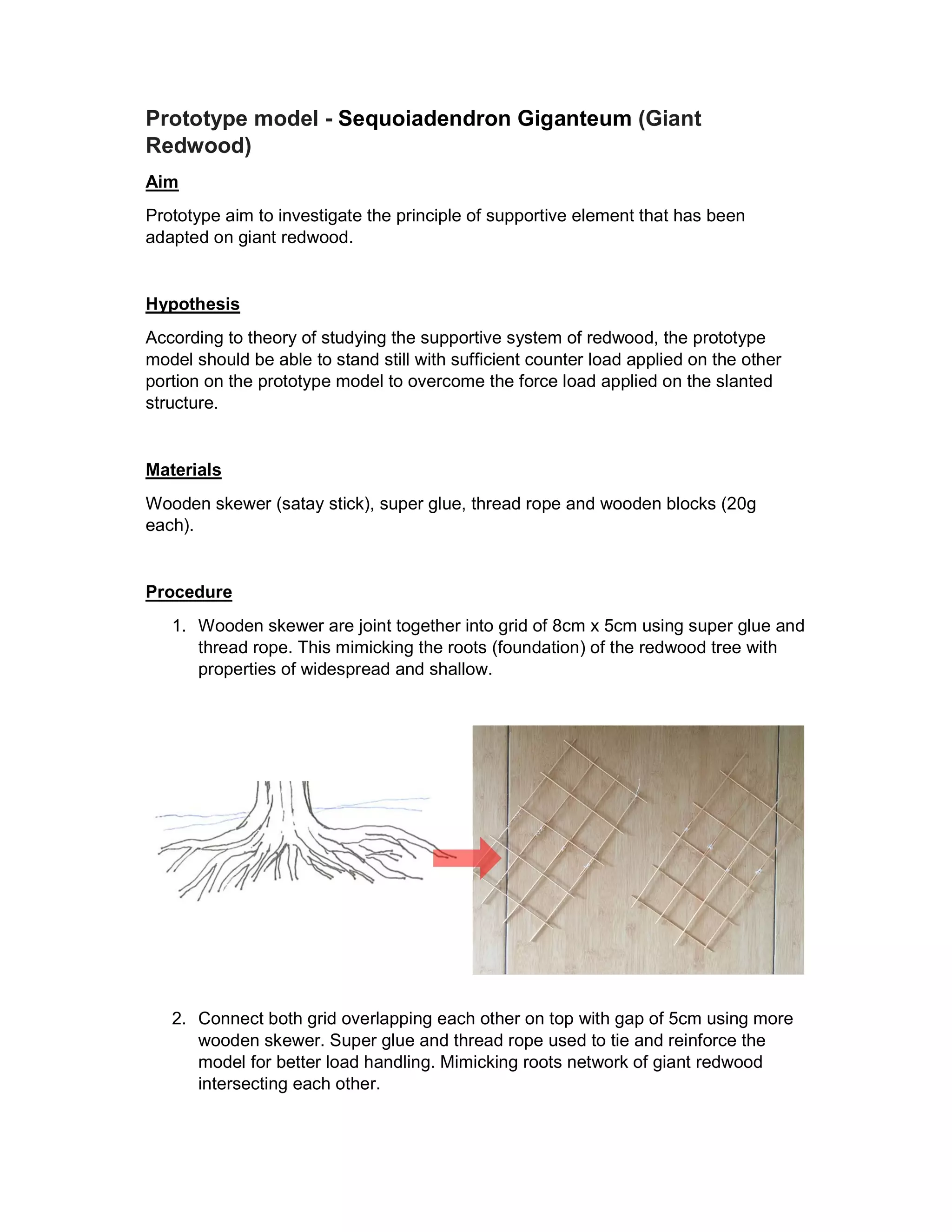 Biomimicry, giant redwood prototype | PDF