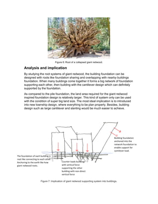 Biomimicry, giant redwood prototype | PDF