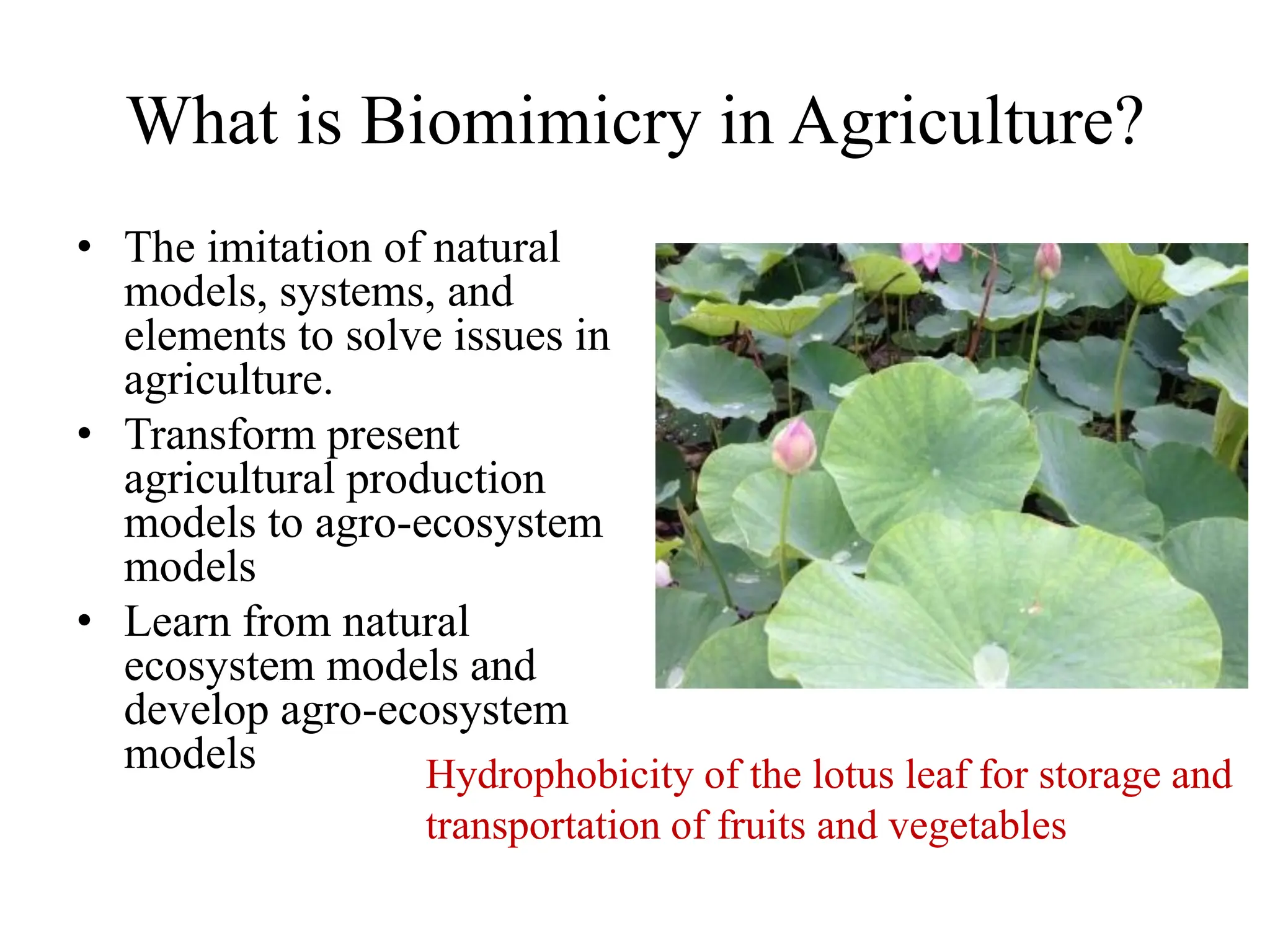 Biomimicry in agriculture: Nature-Inspired Solutions for a Greener ...
