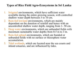Biomimicry in agriculture: Nature-Inspired Solutions for a Greener ...
