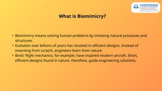 Biomimicry in Engineering and Nature-Inspired Innovation | PPTX