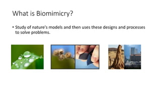 Biomimicry in mobility | PDF