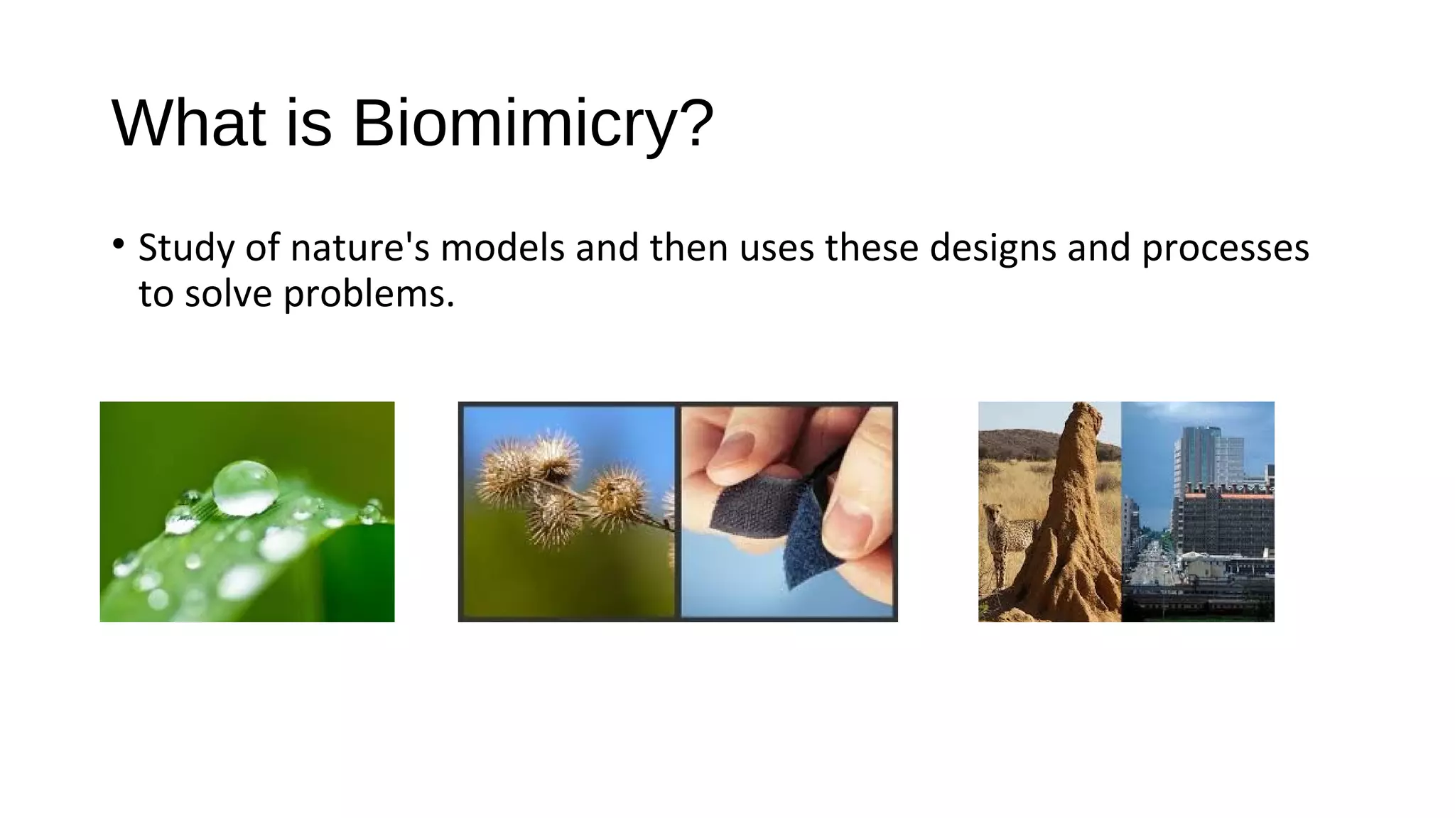 Biomimicry in mobility | PPT