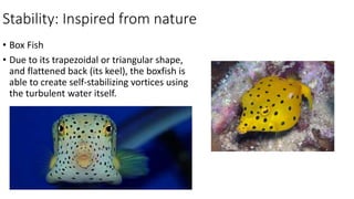 Biomimicry in mobility | PPTX | Physics | Science