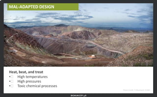 Biomimicry introduction | PPTX