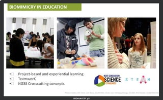 Biomimicry introduction | PPTX