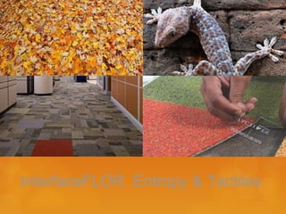 Biomimicryintro&peace | PPT