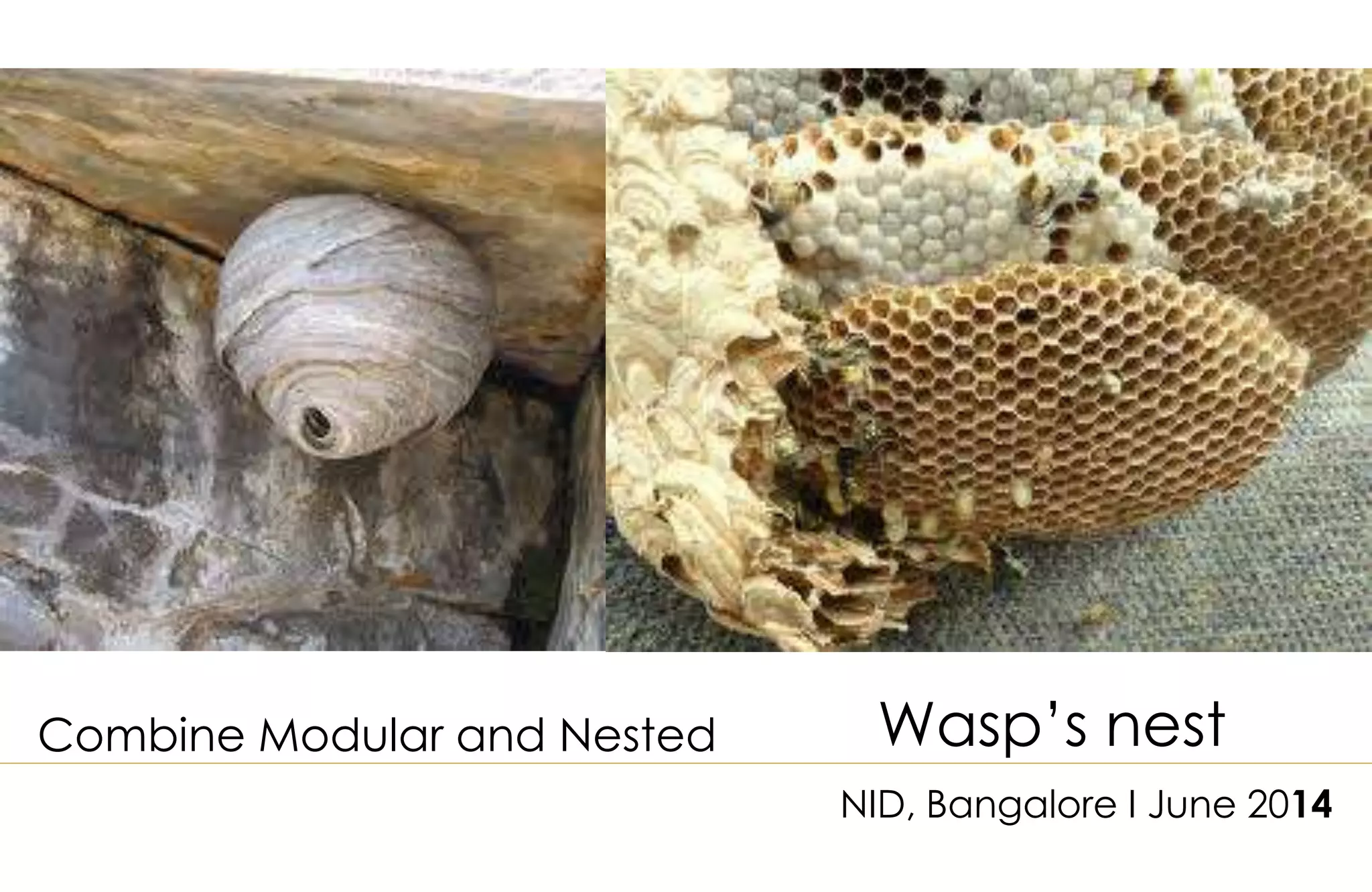 Biomimicry life principle examples | PPTX