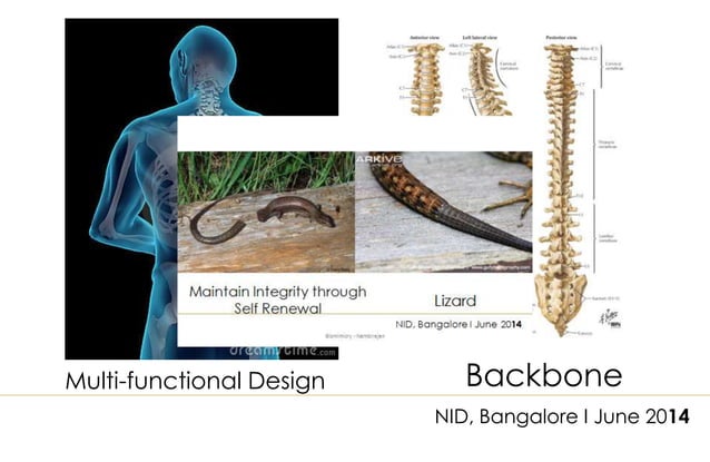 Biomimicry life principle examples | PPT