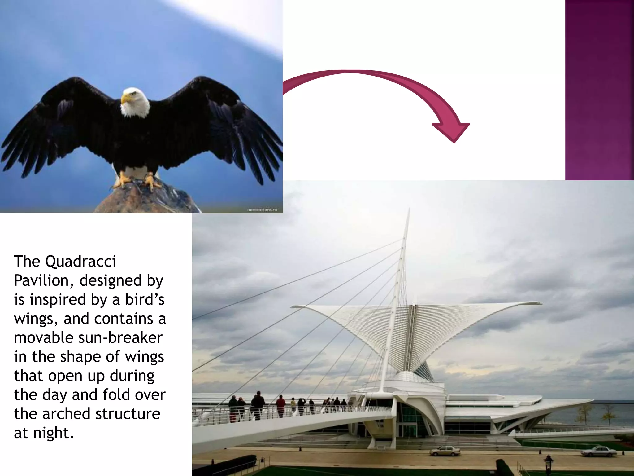 Biomimicry | PPTX