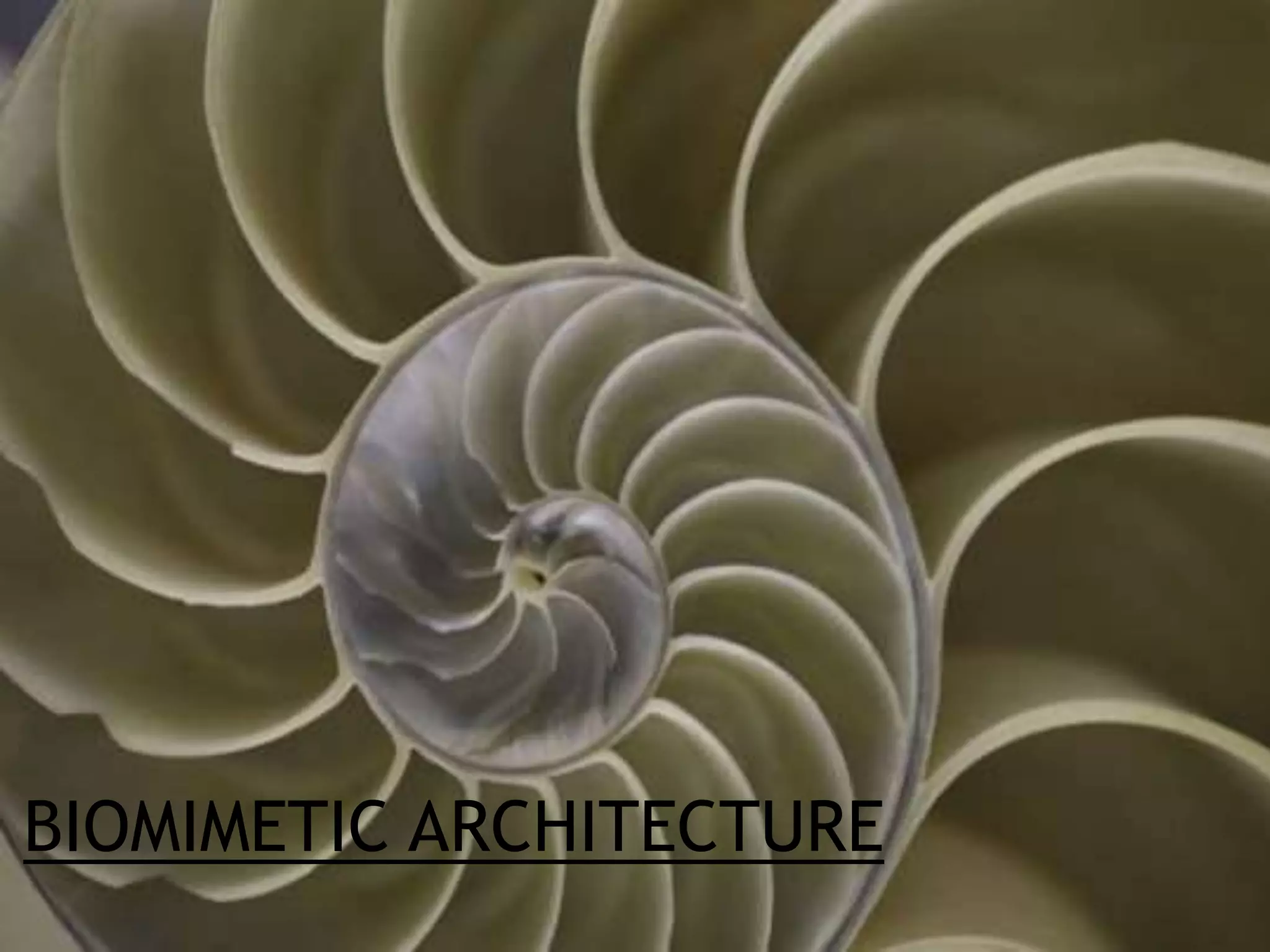 Biomimicry | PPTX
