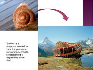 Biomimicry | PPTX