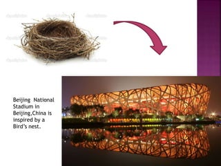 Biomimicry | PPTX