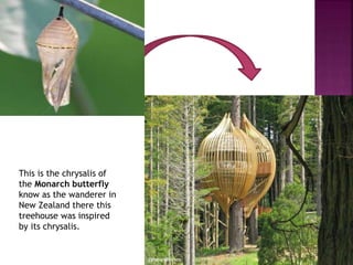 Biomimicry | PPTX