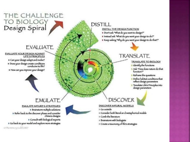 Biomimicry | PPTX