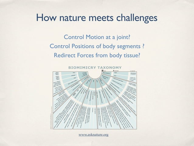 Biomimicry orthotics ispo 2010 | PPT