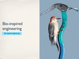 Biomimicry orthotics ispo 2010 | PPT