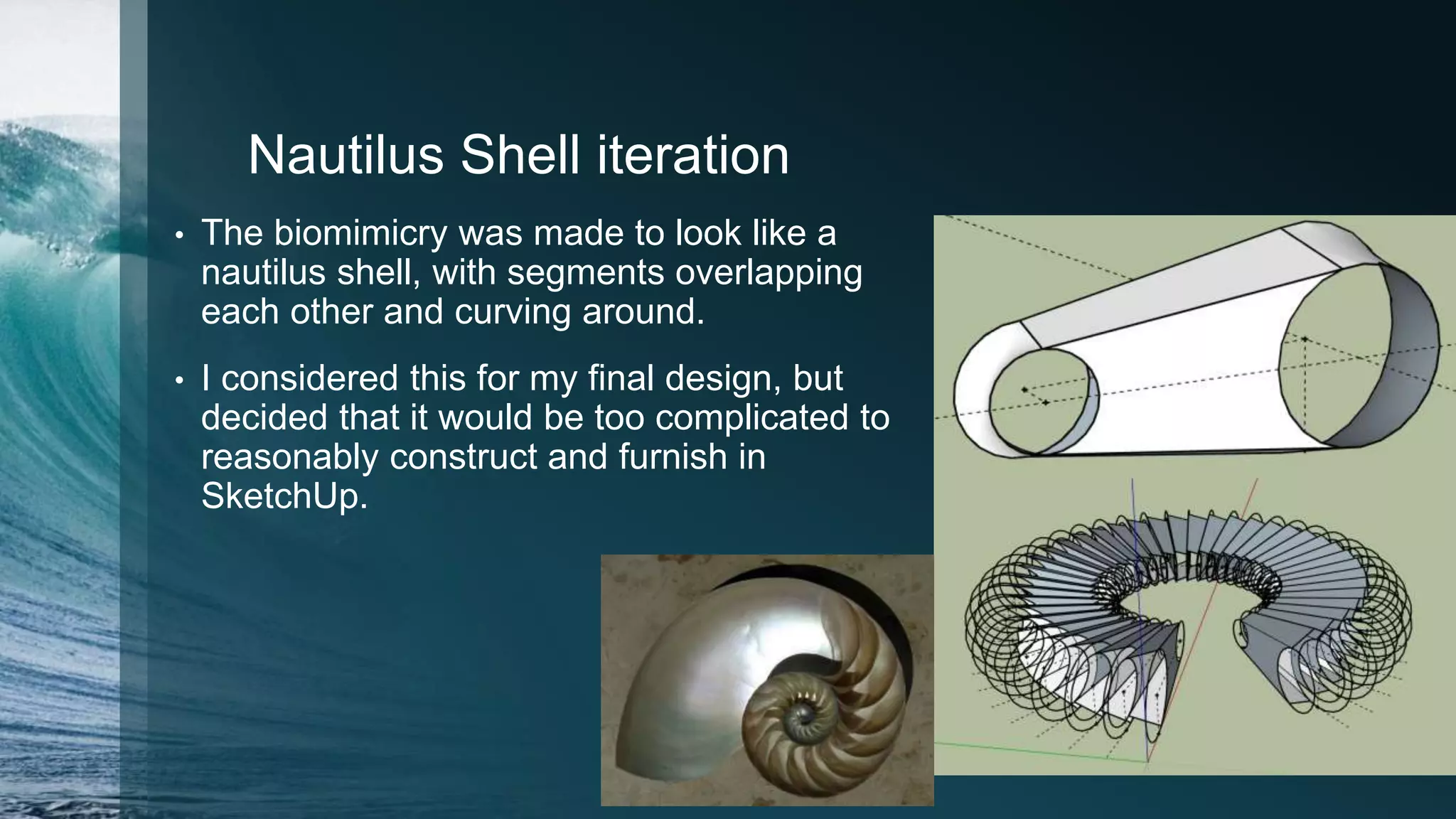 Biomimicry Portfolio B Sample.pptx