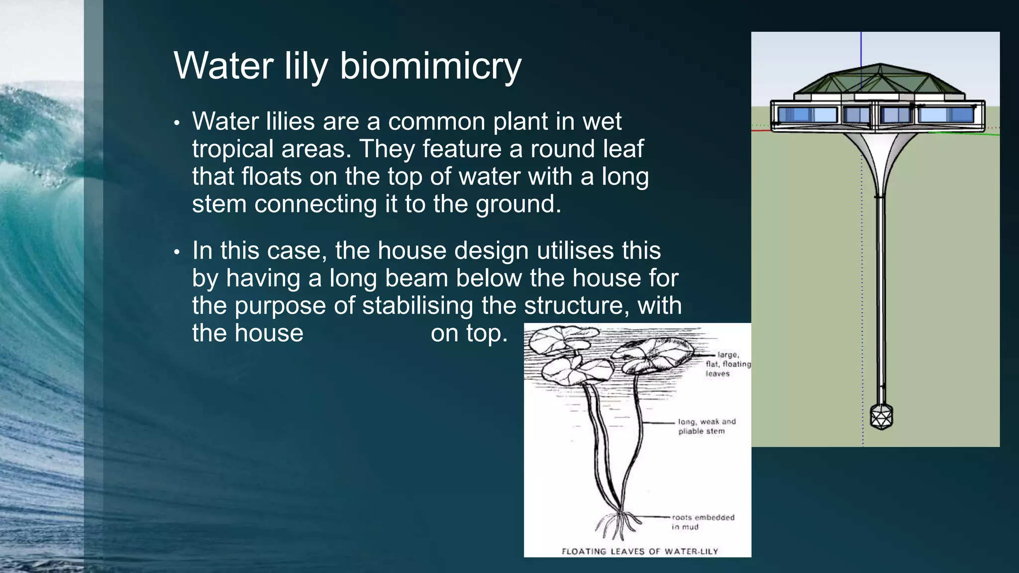 Biomimicry Portfolio B Sample.pptx