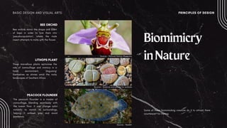 biomimicry ppt architecture principle.pdf