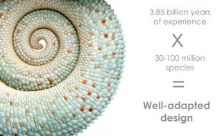 Biomimicry | PDF