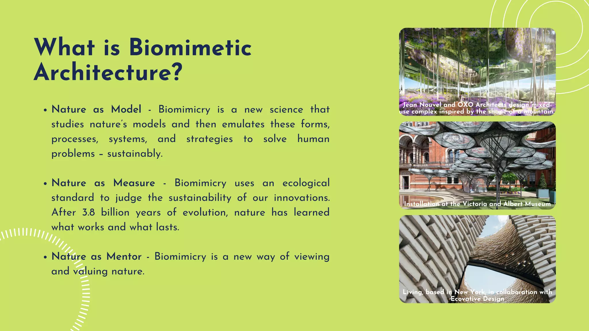 BIOMIMITIC ARCHITECTURE | PDF