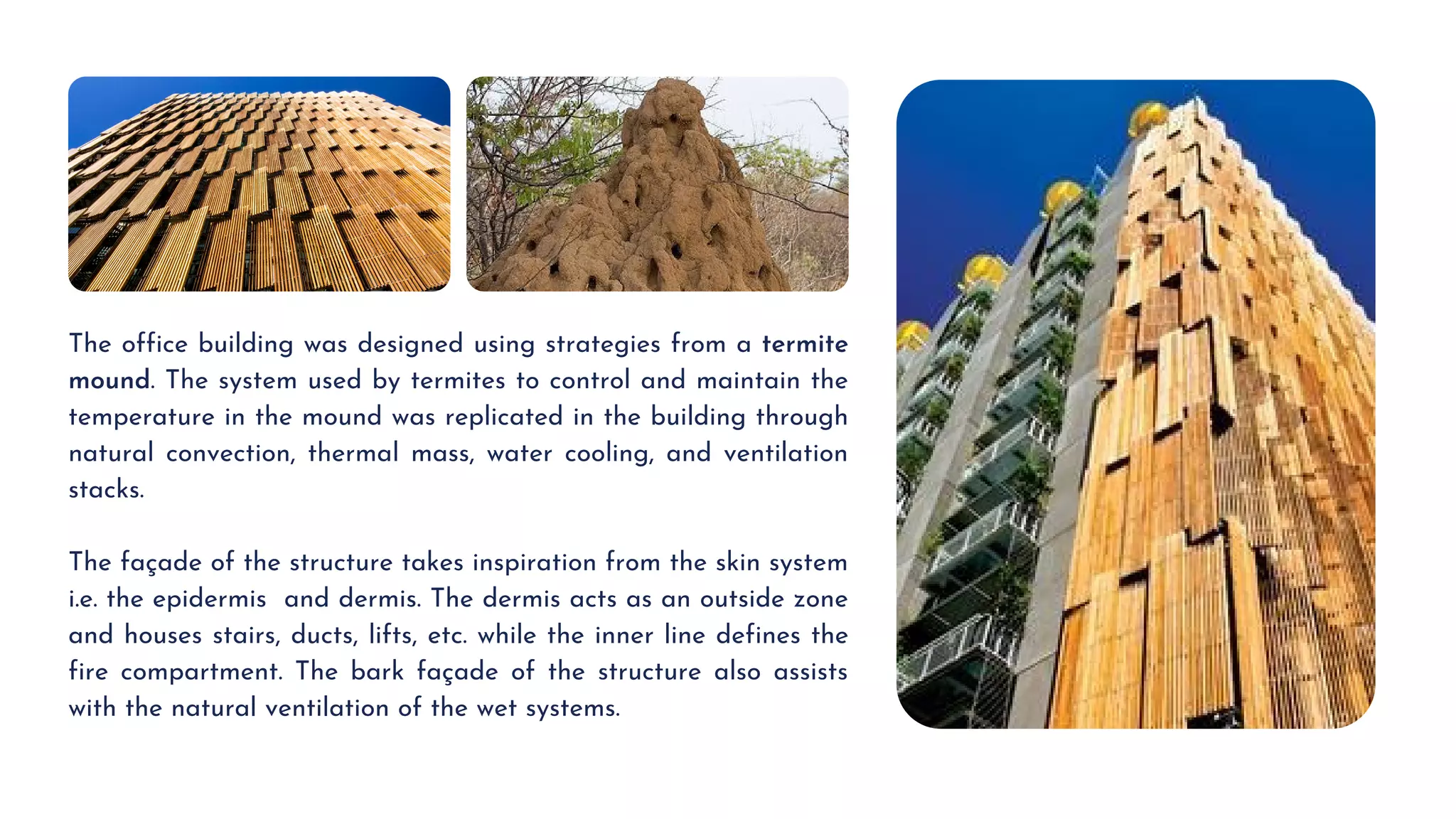 BIOMIMITIC ARCHITECTURE | PDF