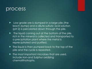 Biominindsdsds_and_bioleaching.pp bioleachtx | PPTX