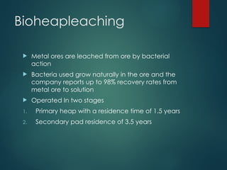 Biominindsdsds_and_bioleaching.pp bioleachtx | PPT
