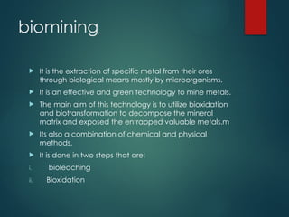 Biominindsdsds_and_bioleaching.pp bioleachtx | PPT