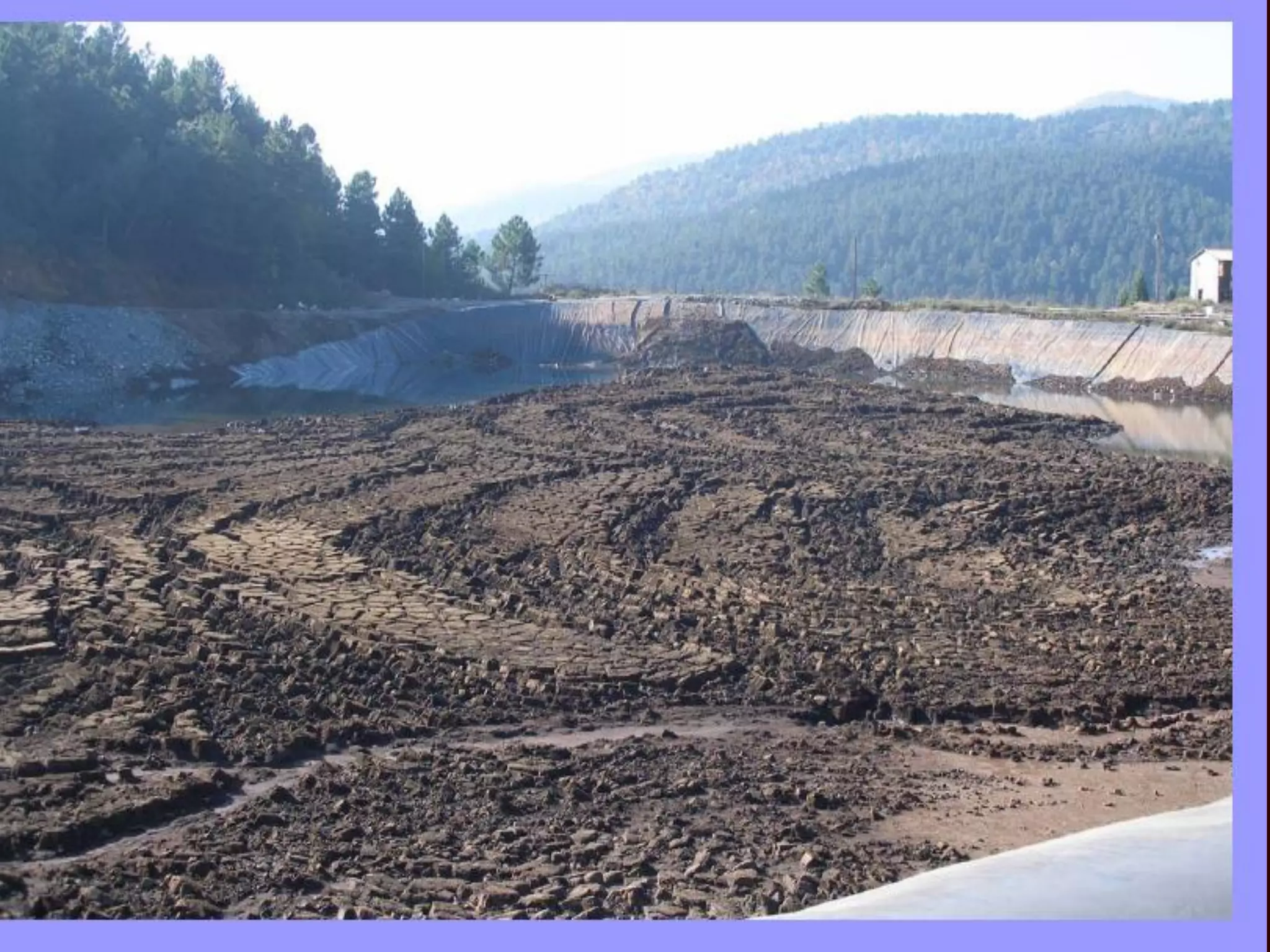 Biomining /bioleaching | PDF | Geology | Science