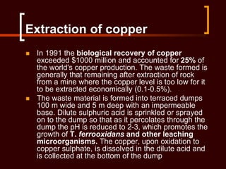 Biomining /bioleaching | PDF