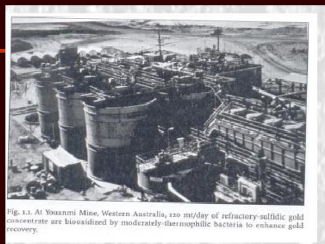 Biomining /bioleaching | PDF | Geology | Science